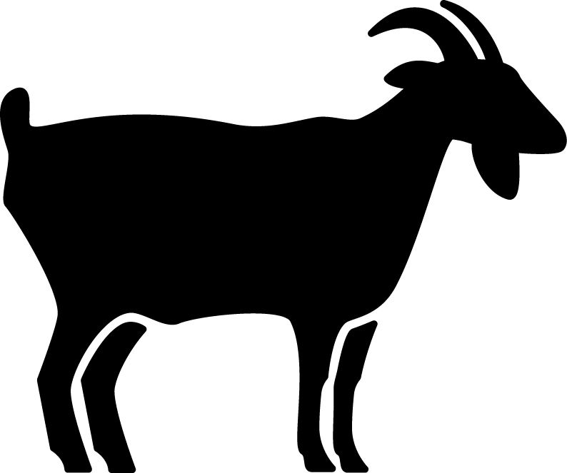 Ungulate Goat