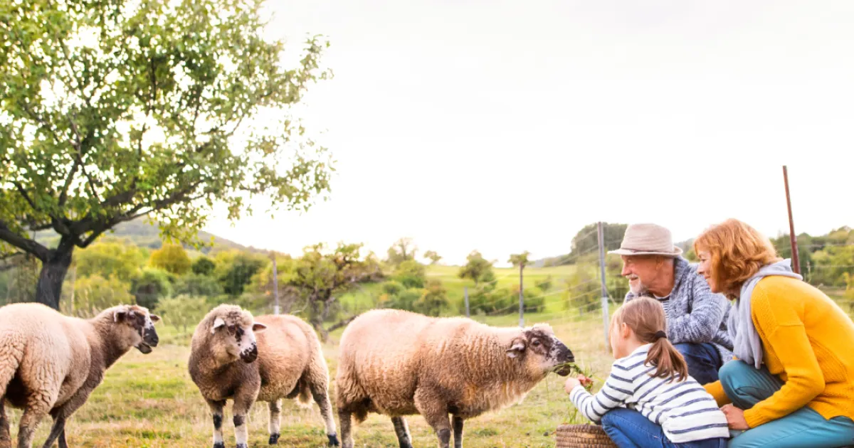 Animal health practitioners | European Medicines Agency (EMA)